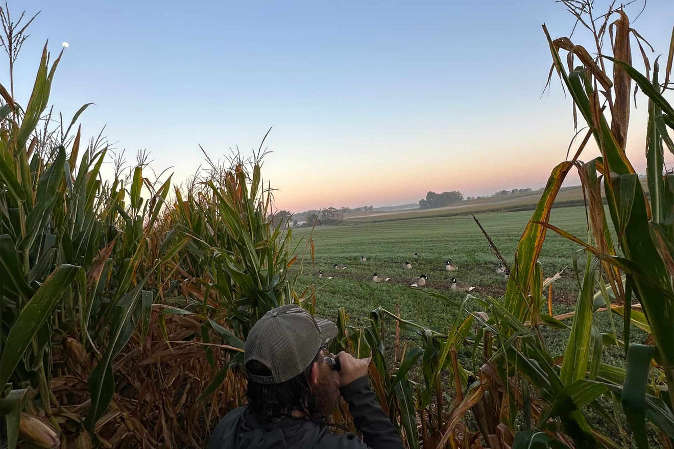 Field Hunting Tips – Cupped Waterfowl