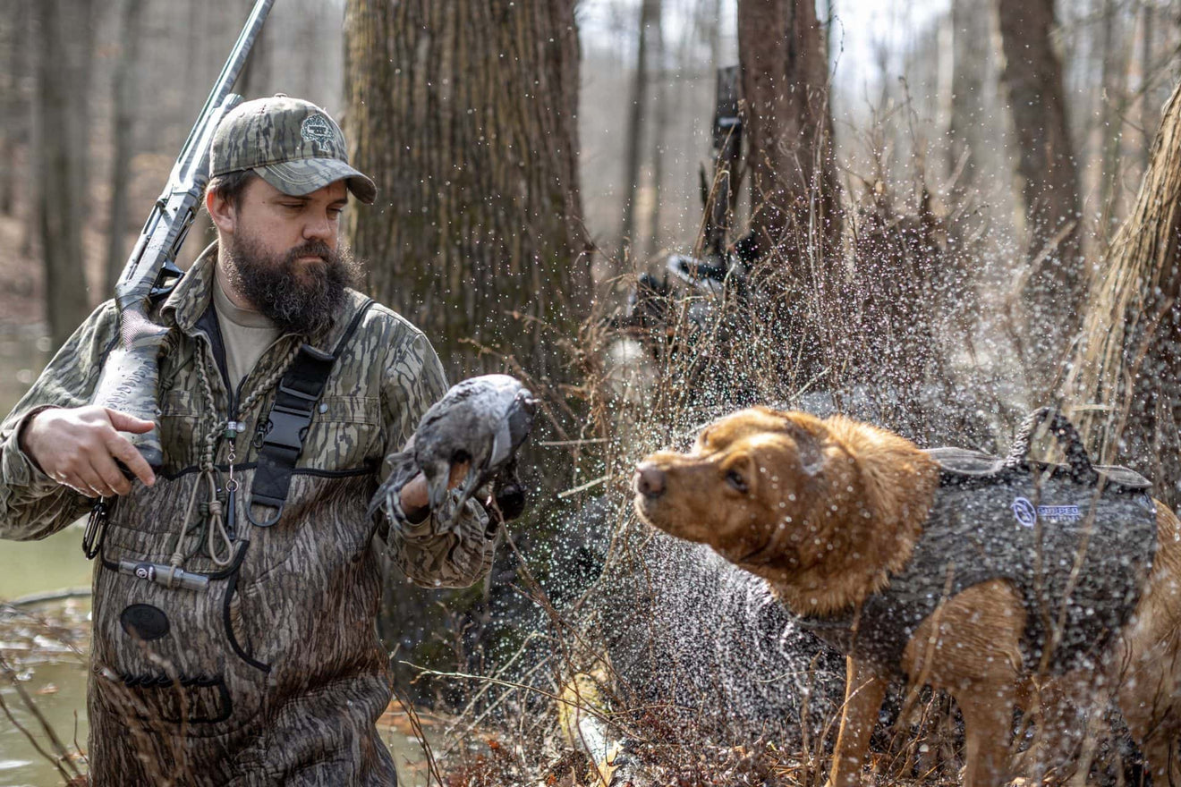 Gun Dog – Cupped Waterfowl