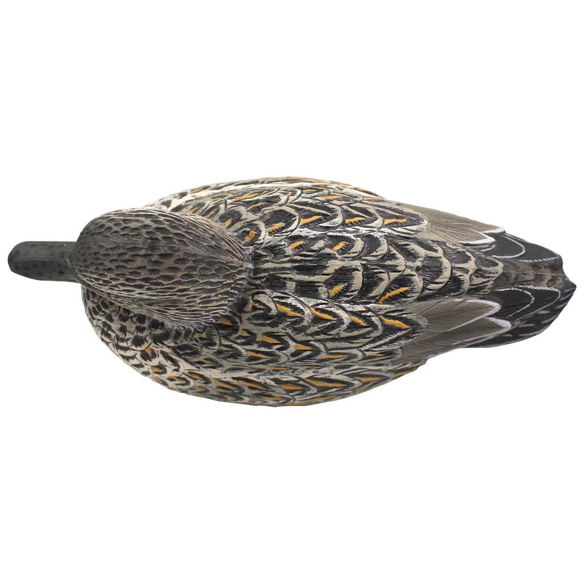 Cupped Waterfowl