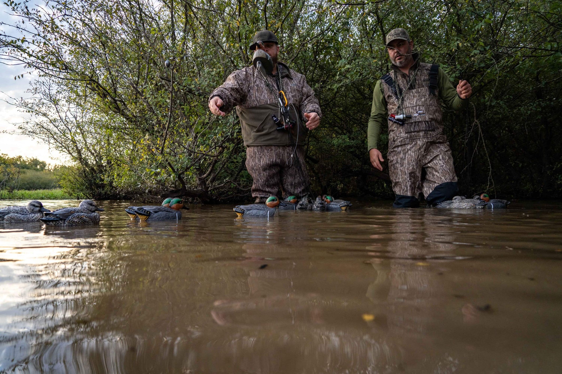 Collections – Cupped Waterfowl