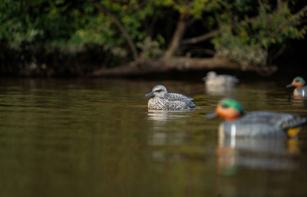 Decoy 101: How to Build Your First Waterfowl Spread - Cupped Waterfowl